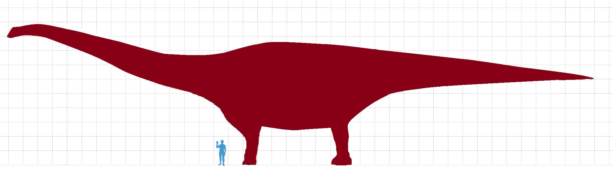 Patagotitan Mayorum Vs Human Size Comparison Our Planet Patagotitan Mayorum Vs Human Size Comparison Our Planet