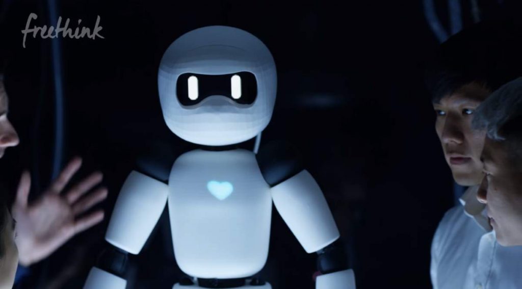 Insects Archives - Our Planet