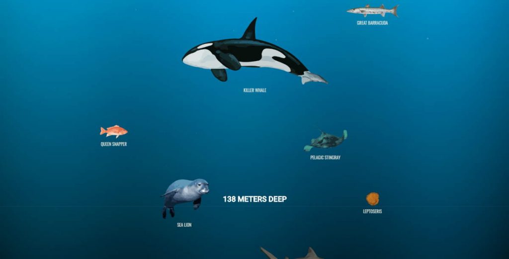 "The Deep Sea": life in the depth of the oceans - Our Planet