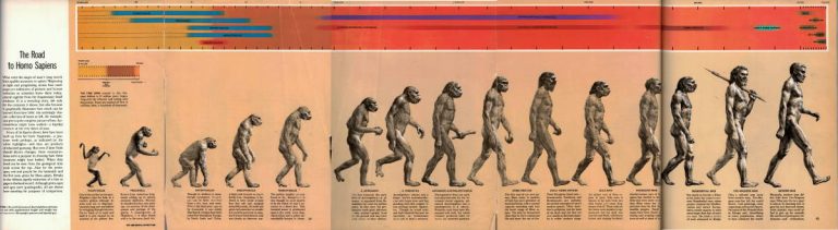Evolution: that famous "march of progress" image is just wrong - Our Planet