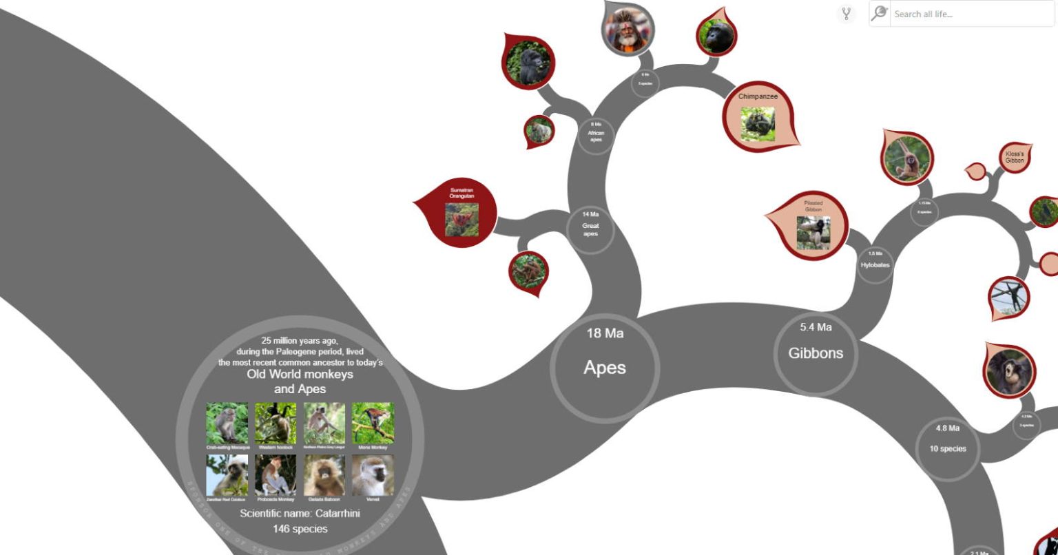 All the "tree of life" was unveiled online, and it's stunning! - Our Planet