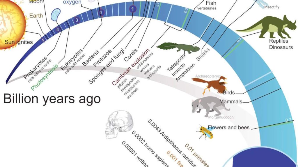 From Red to Blue: Micro and Macro Evolution Explained - Our Planet